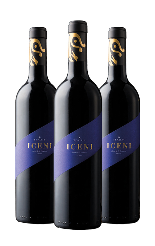 Acheter Iceni 2020 (x3) | Bodeboca