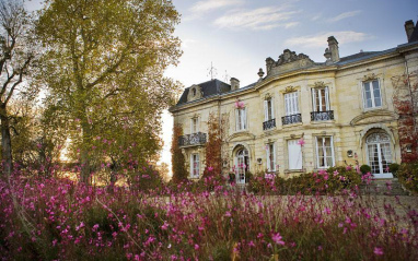 Le domaine Château De Brondeau | Bodeboca
